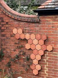 Lewes-based artist redefines relationship between art and ecology with ...