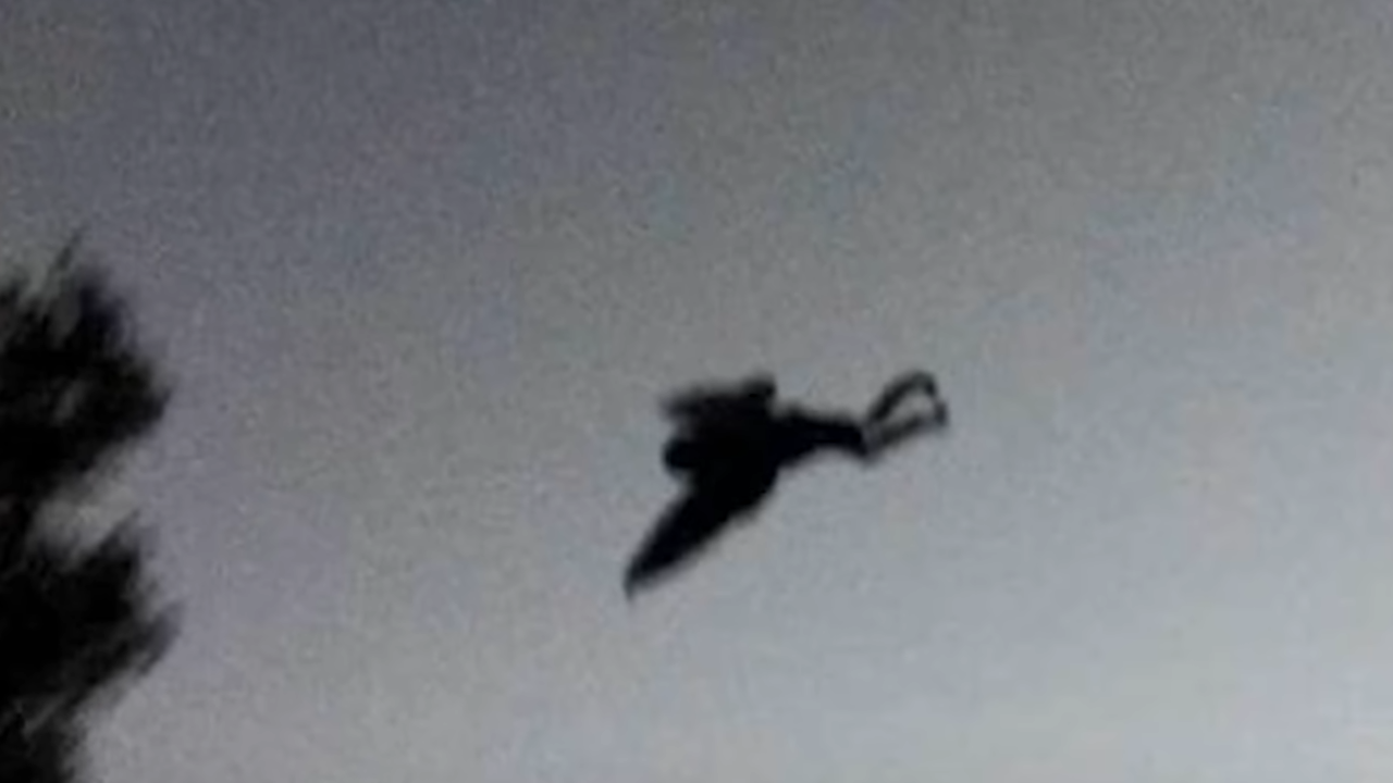 Why the mothman shows up before people die