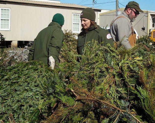 Where can you drop off Christmas trees for fish habitat projects?