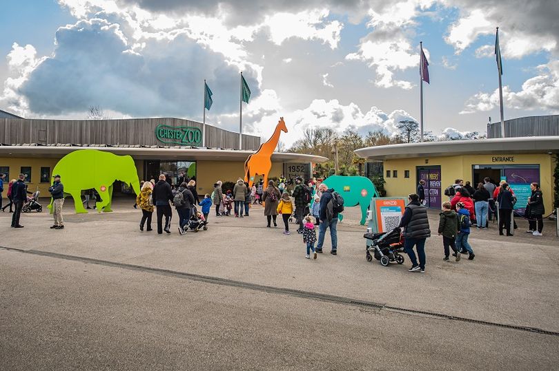 Chester Zoo releases unseen images as new animal born
