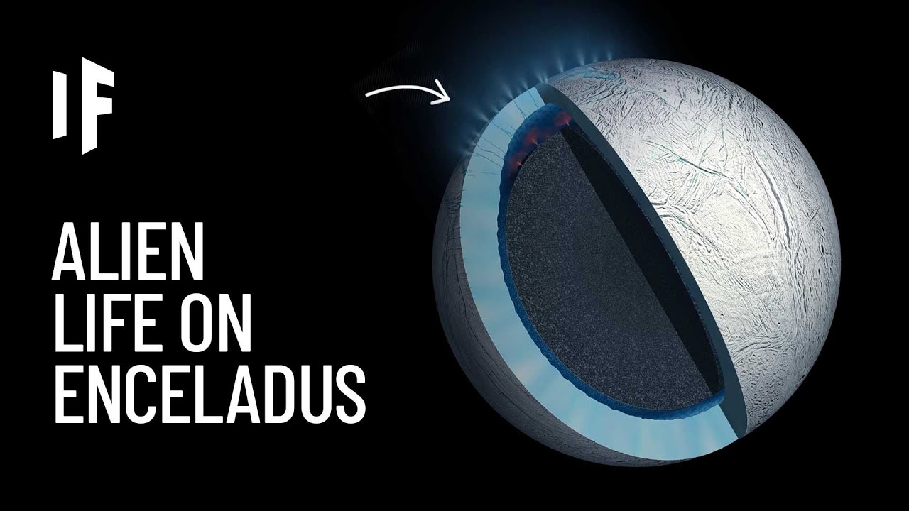 Imagining discovering alien life on Enceladus