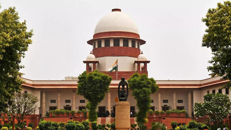 SC asks Centre, SCBA to suggest measures to prevent incidents like shoe ...