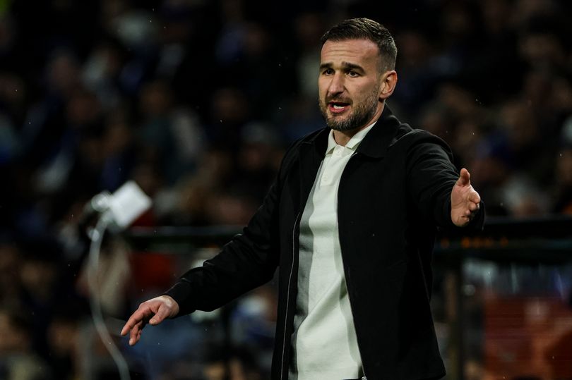 'I hope to' - David Selini comments on possible Anes Mravac ...