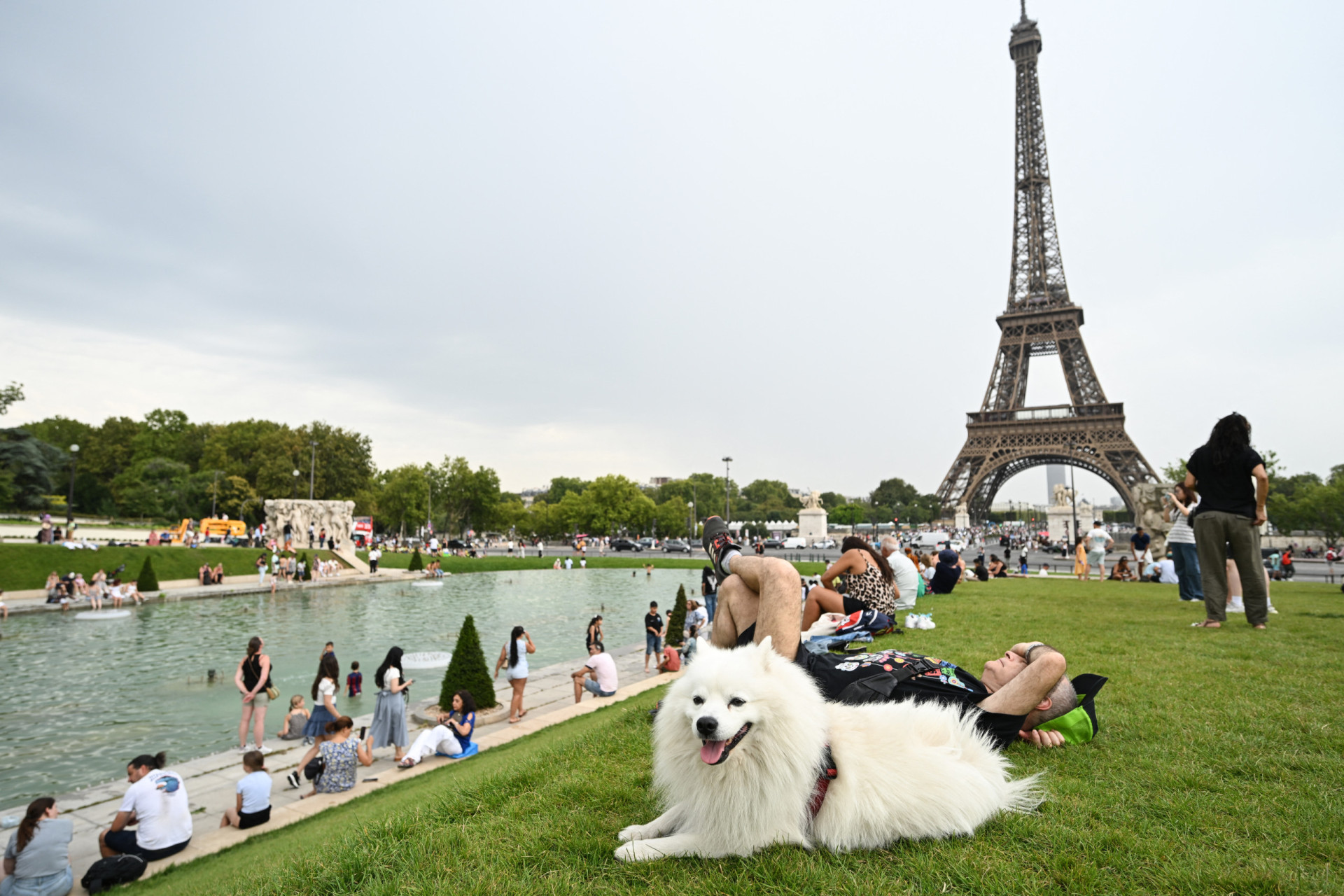 The most dog-friendly cities in the world