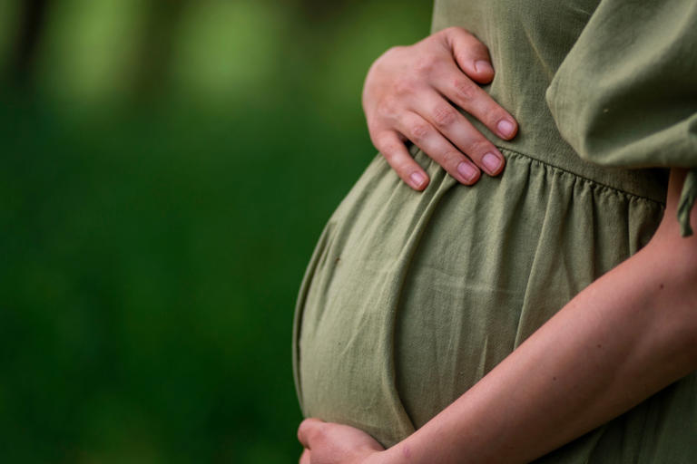 Pregnant woman filmed inside hospital washroom in Bengaluru, accused ...