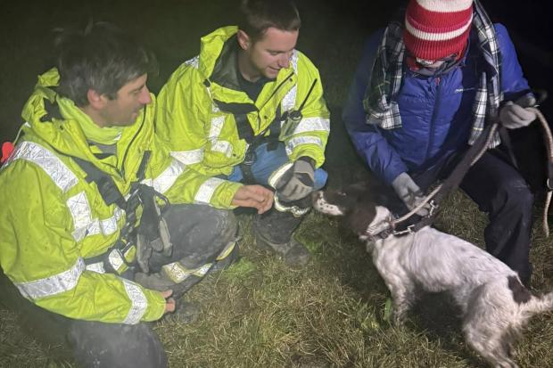 Dog missing for more than a week rescued and reunited with owners