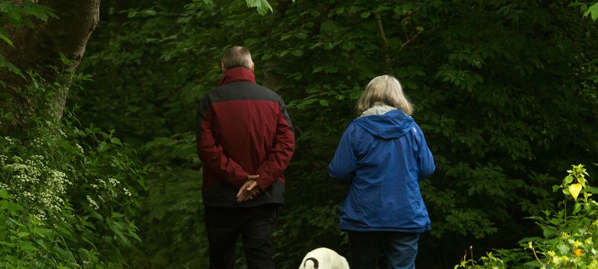 How Social Security has evolved