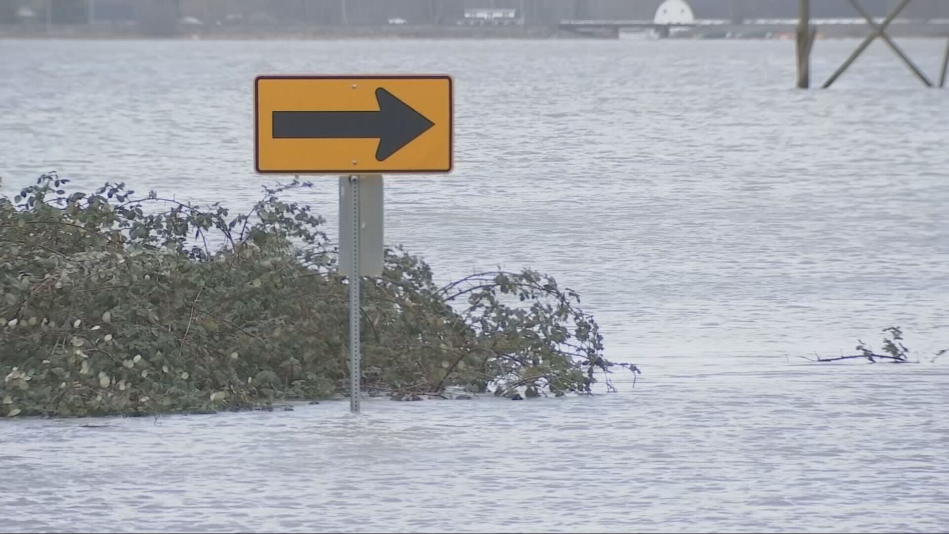 Emergency order issued for Washington policyholders amid severe flooding