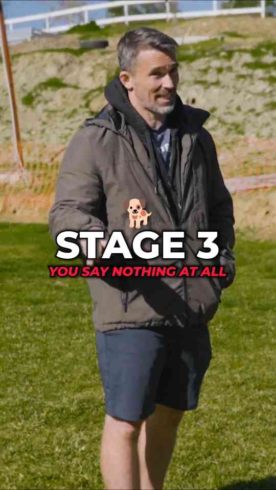 Why spacing out rewards leads to better training results and long-term ...