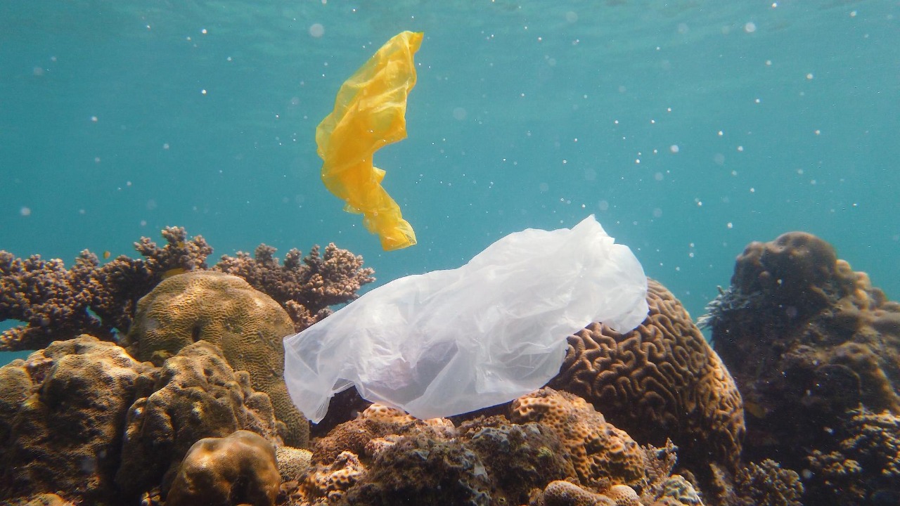 Microplastics may be leaking invisible chemical clouds into rivers and ...
