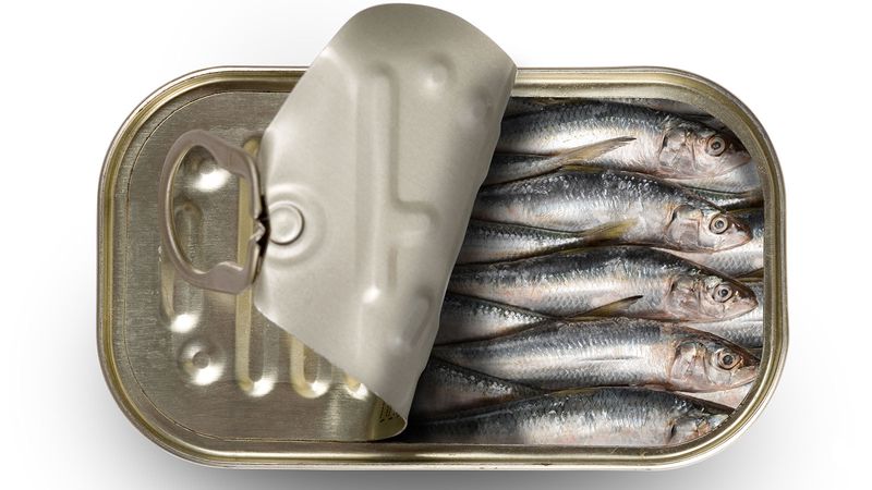 The 7 best tinned fish for your health that go beyond tuna