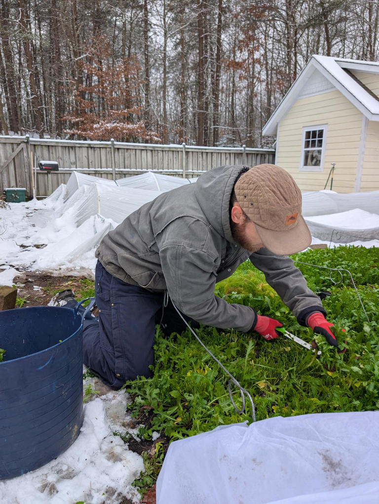 Local farms bring fresh greens, raw milk to winter market