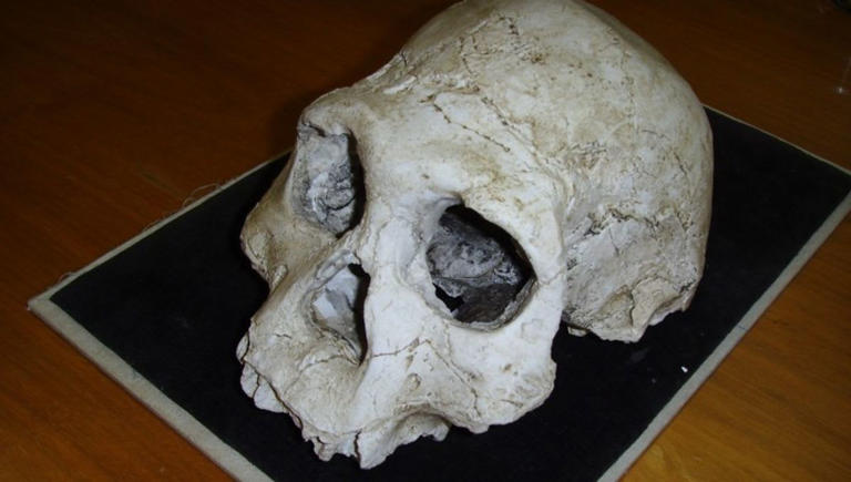 The first human ancestor to leave Africa wasn’t who we thought it was