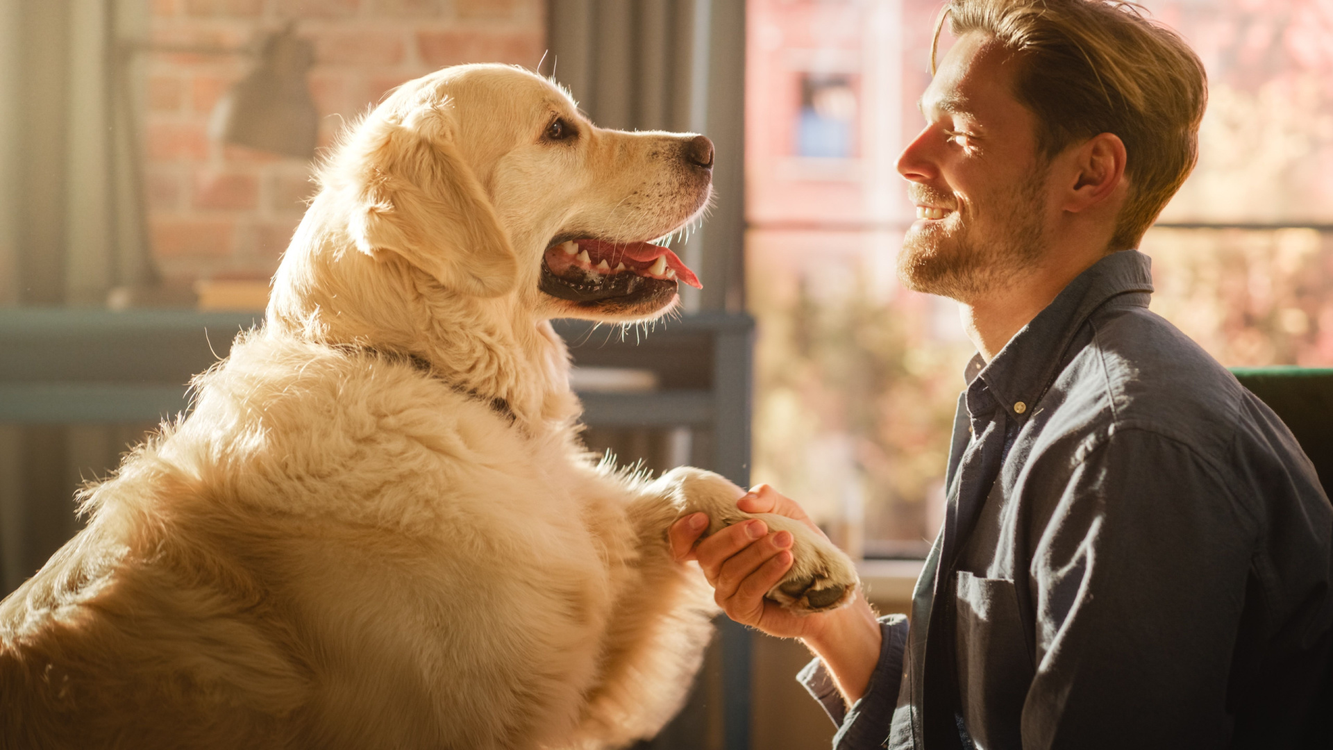 10 dog breeds that comfort owners when they’re sad without being asked