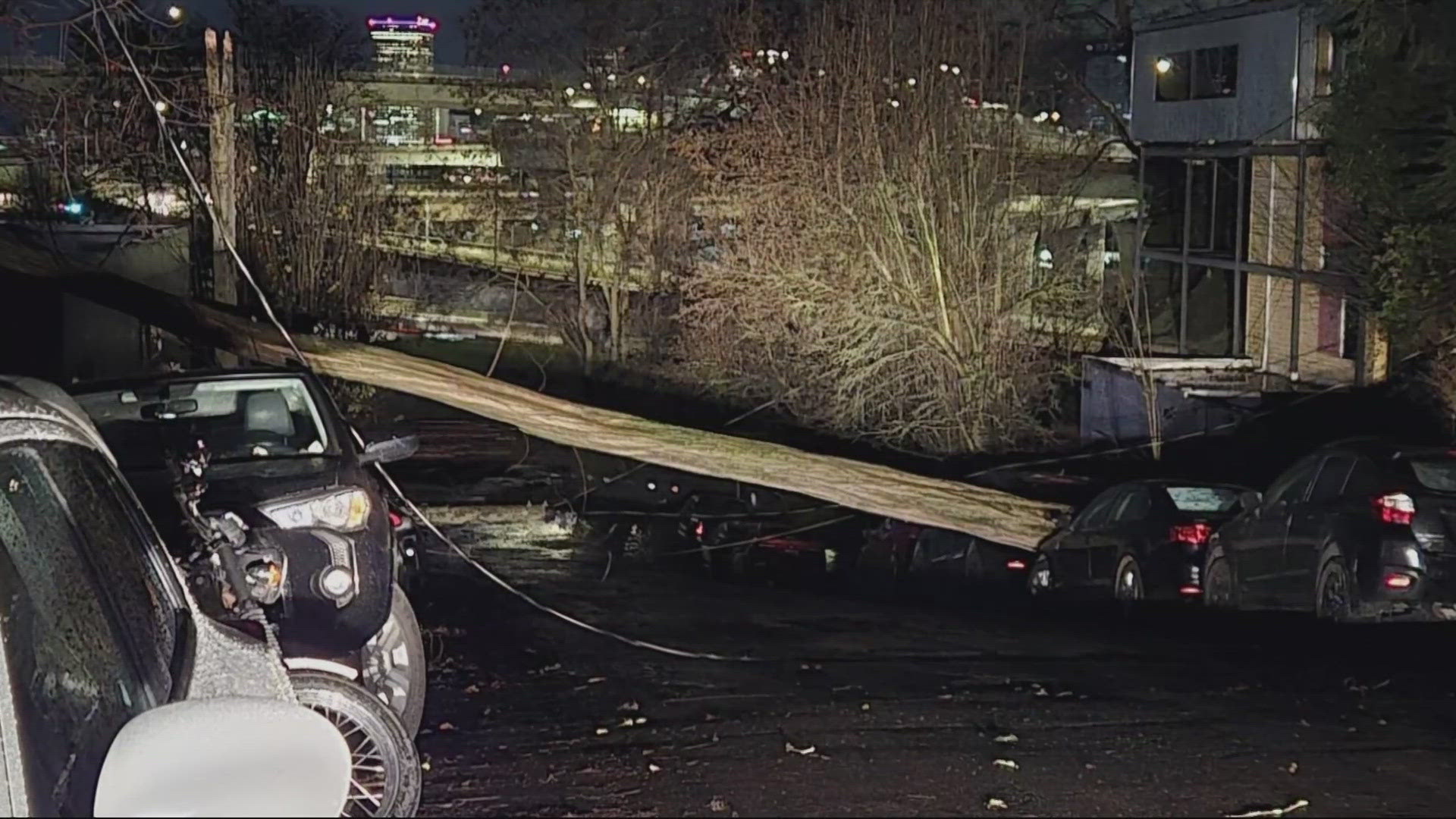 Severe weather knocks down trees, power lines across the Portland metro