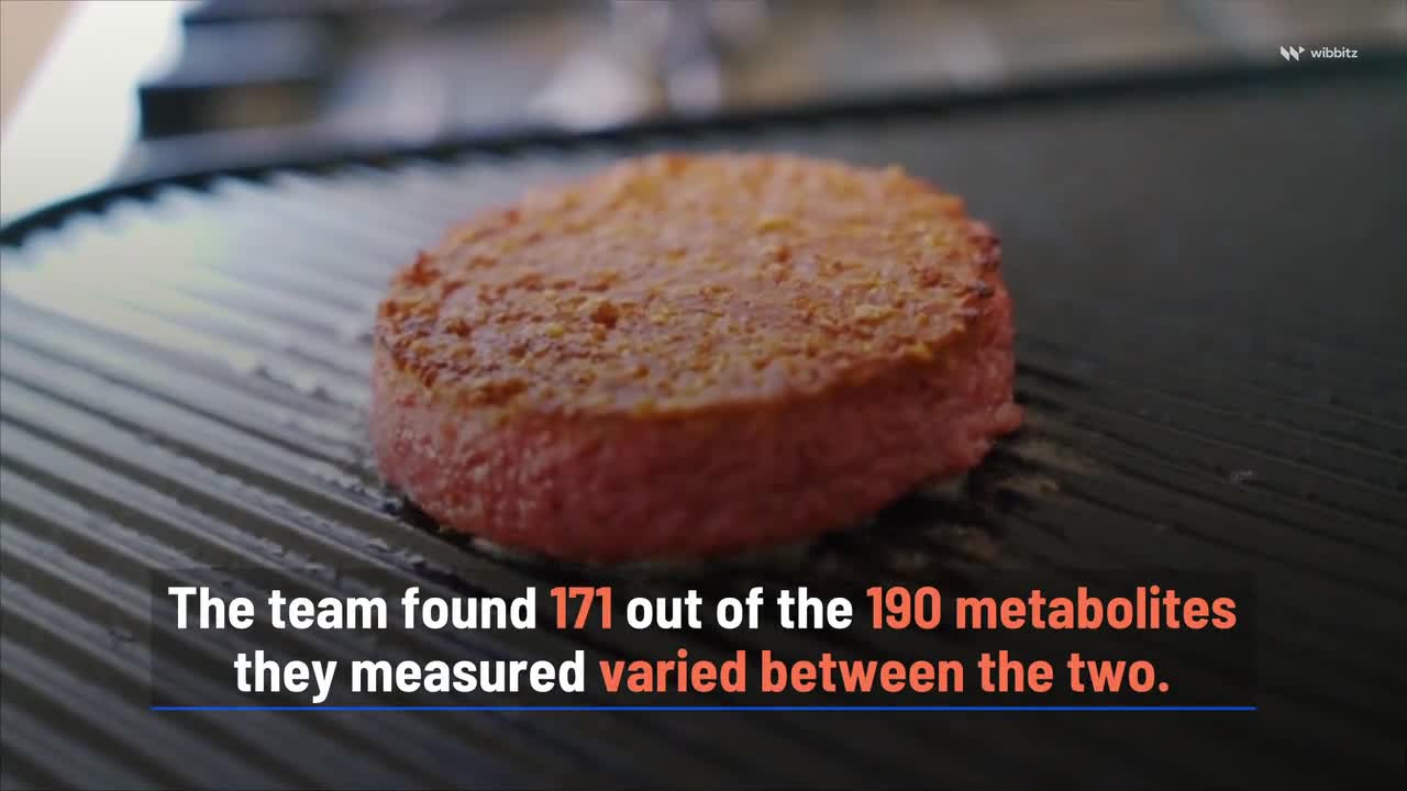 Plant-based meat isn't nutritionally equivalent to animal meat, study ...