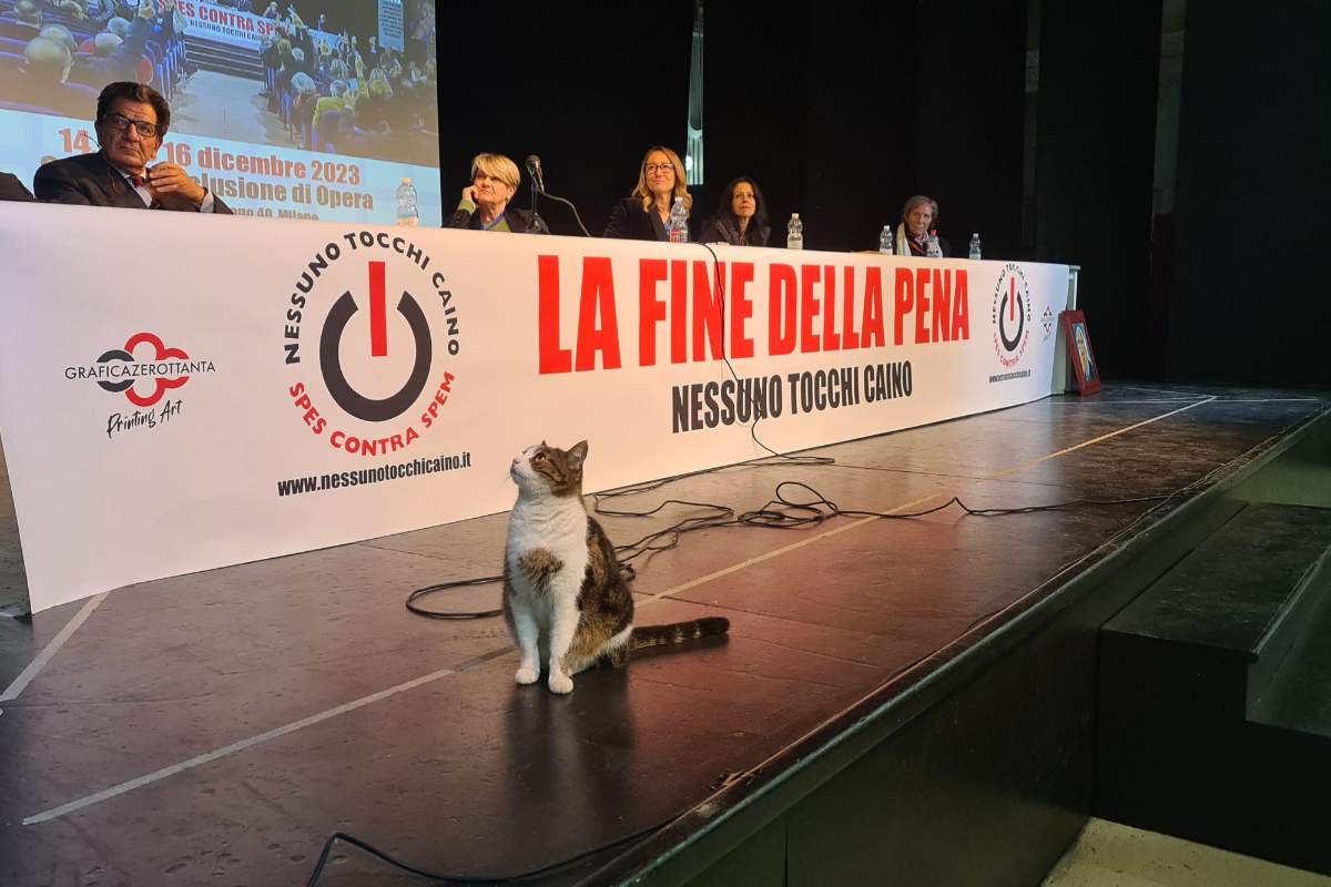 Al via il congresso di Nessuno Tocchi Caino