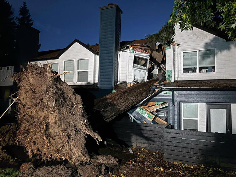 Live updates: Most of NW Oregon under flood watch; some highways reopen ...