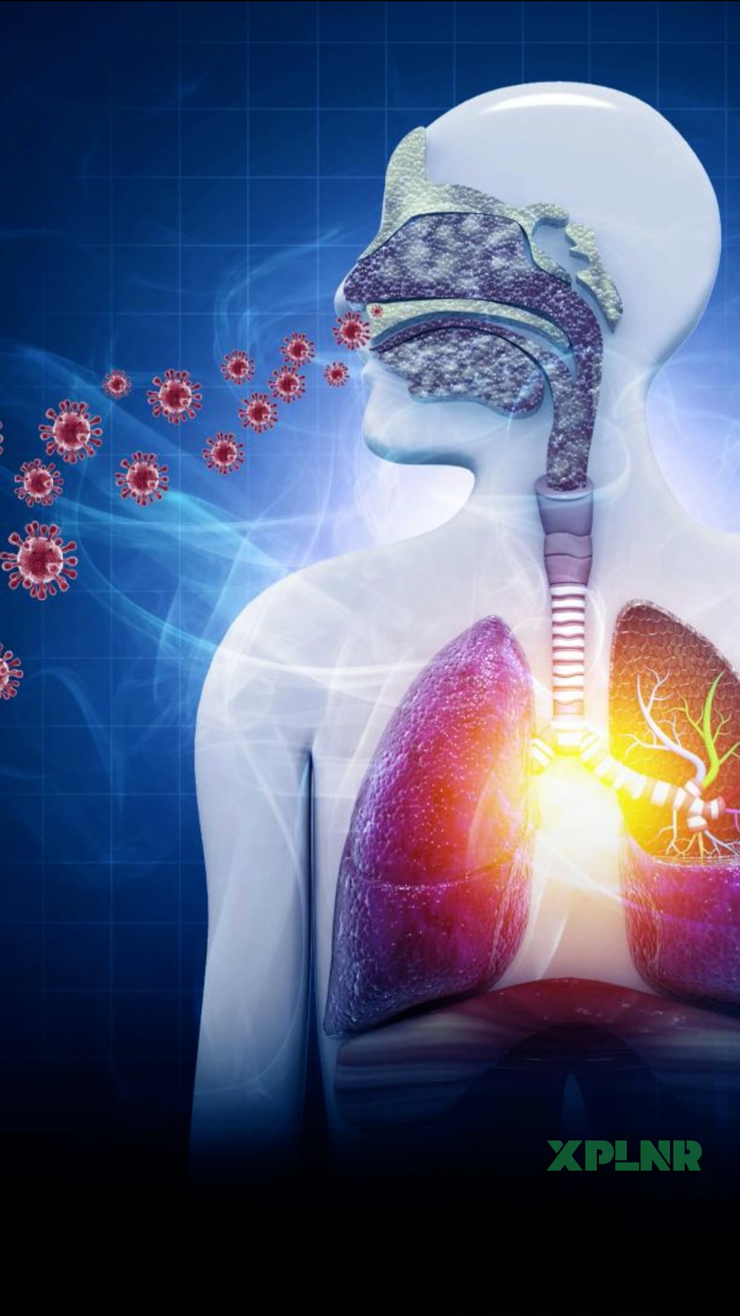 Can we cure the common cold?