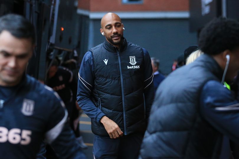 Steven Nzonzi gives verdict on Championship and Stoke City rise