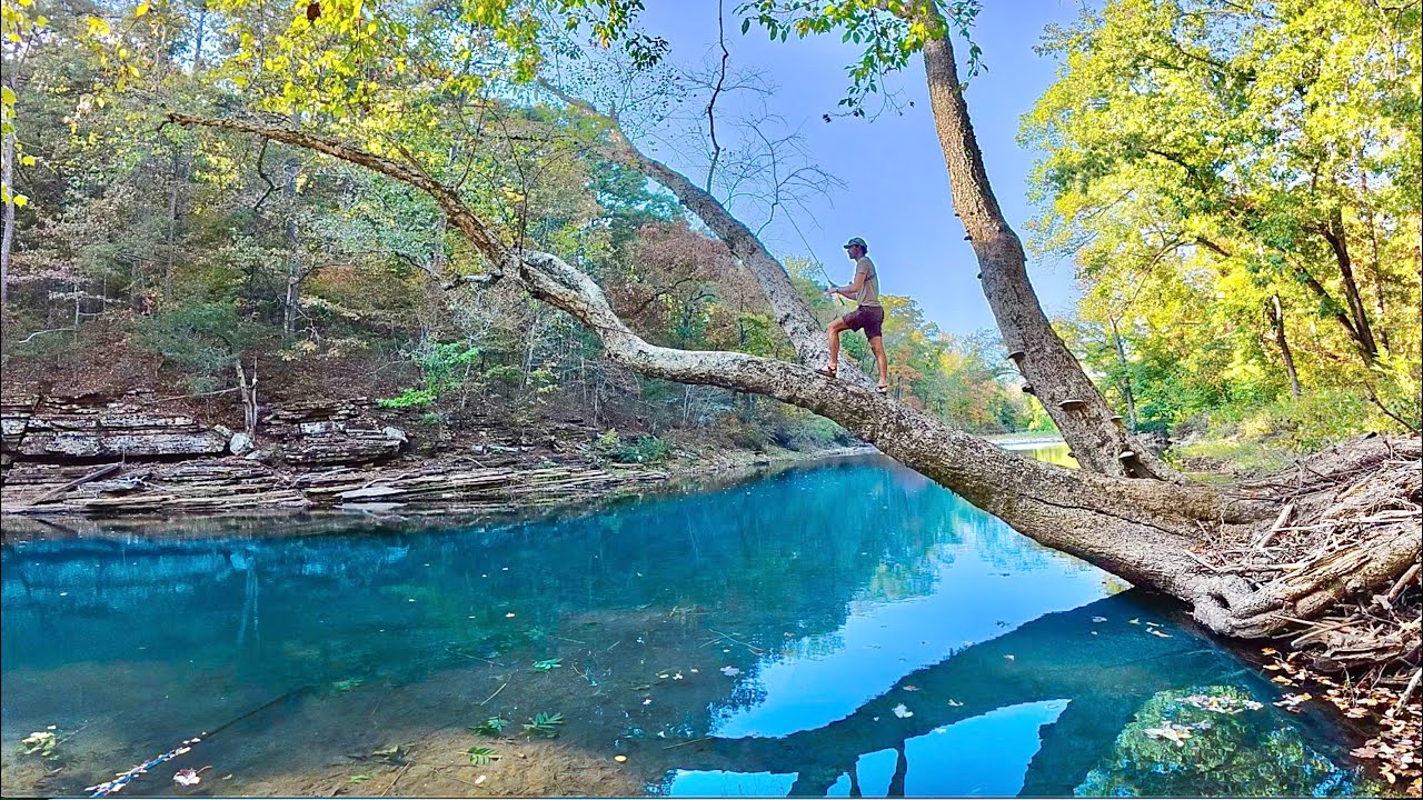 Rare new species discovered and caught in remote location