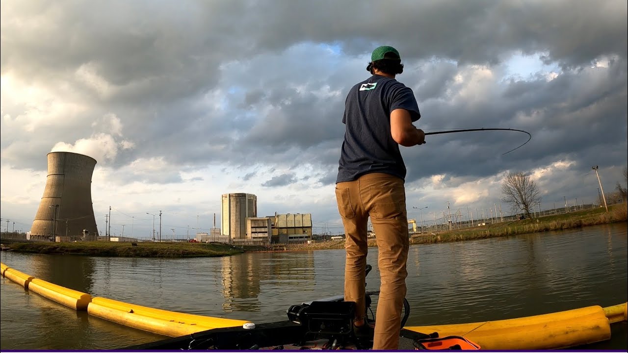 Fish taste like lobster from power plant catch