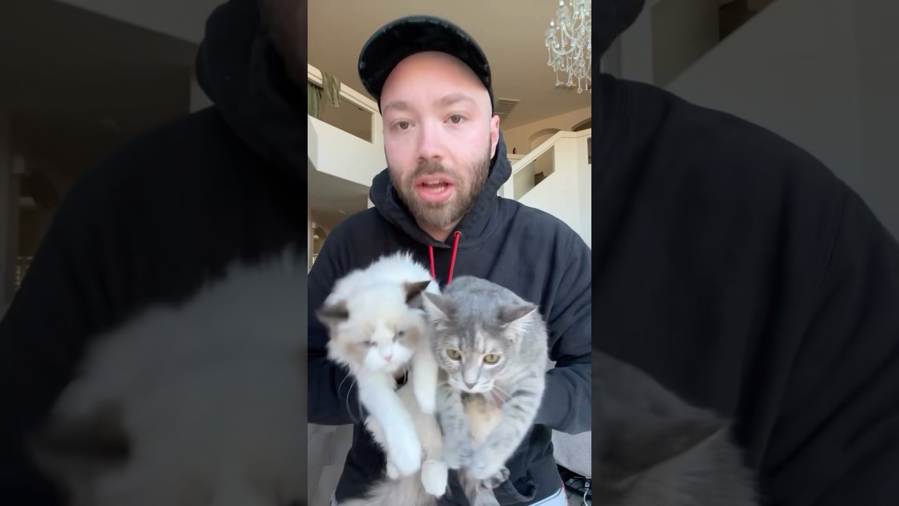 See tiny felines live up to every bold and mighty name