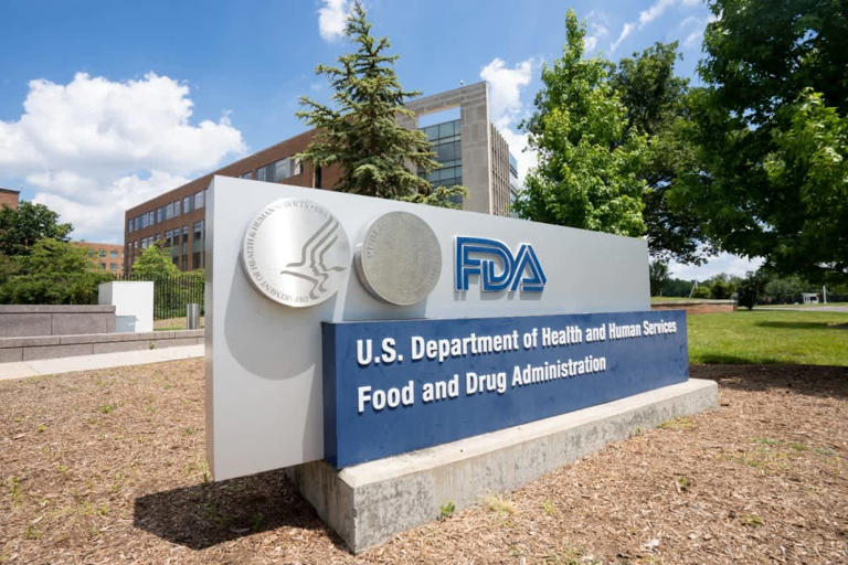 FDA recalls chocolate bars sold nationwide over salmonella fears — key ...