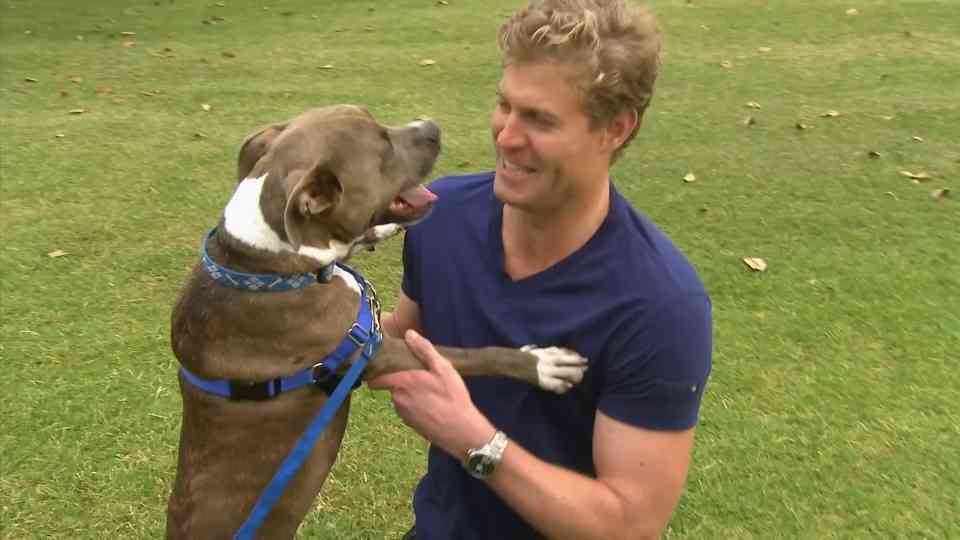 This is how surgery transformed a dog’s future
