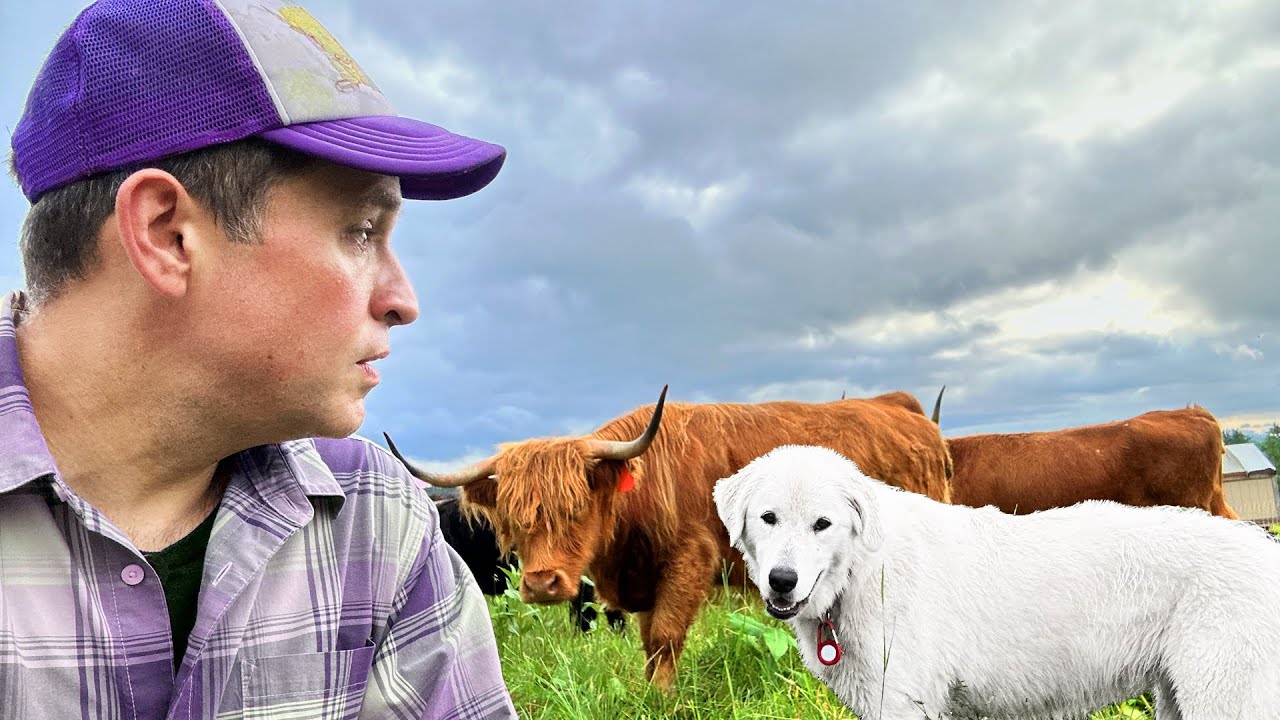 How my Vermont farm turned into a tropical jungle