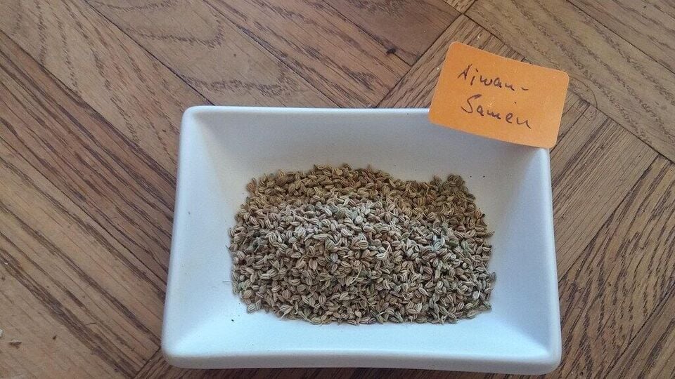 Ajwain water benefits: How it helps digestion, cholesterol and overall ...