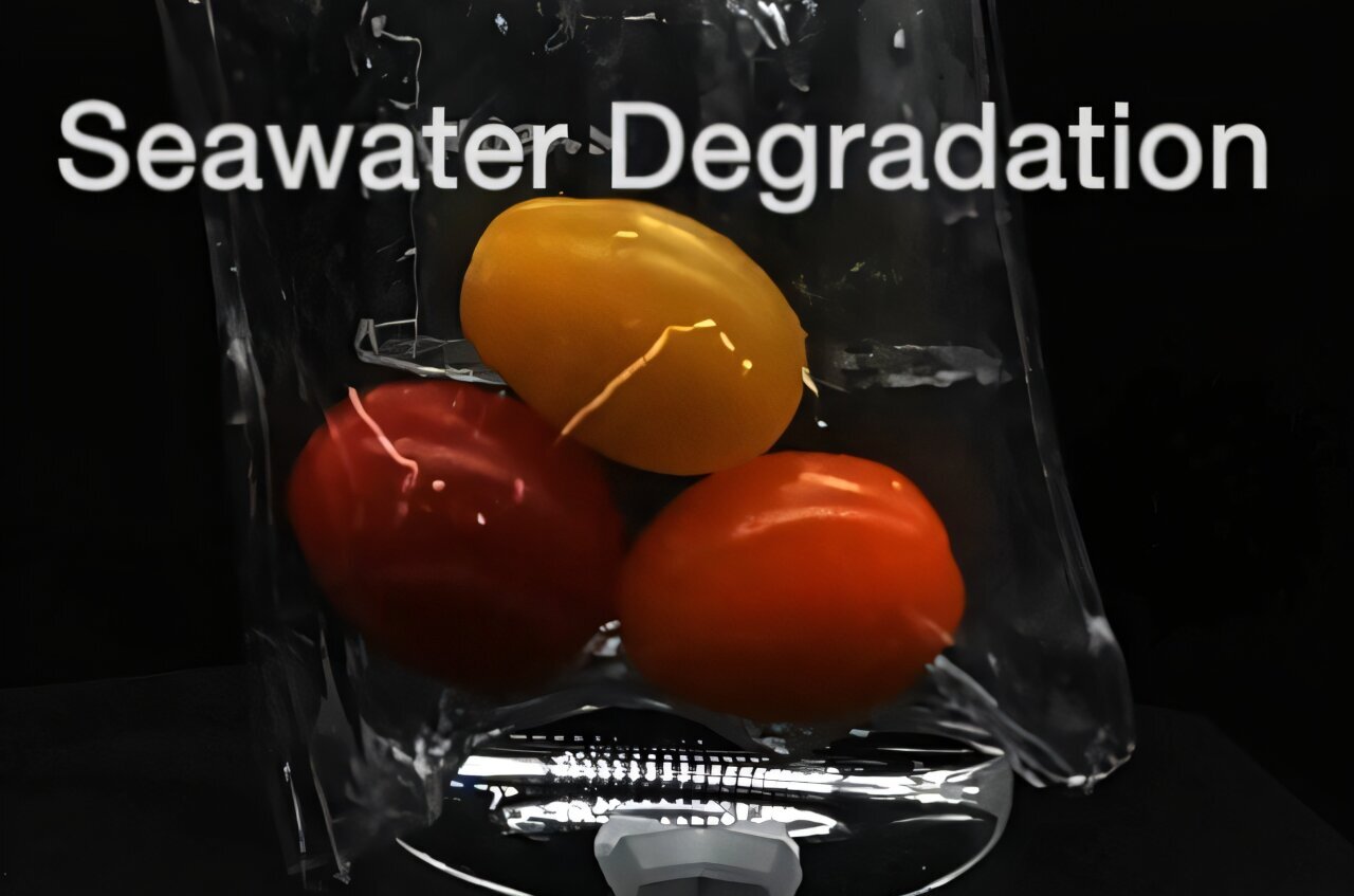 The perfect polymer? Plant-based plastic is fully saltwater degradable ...