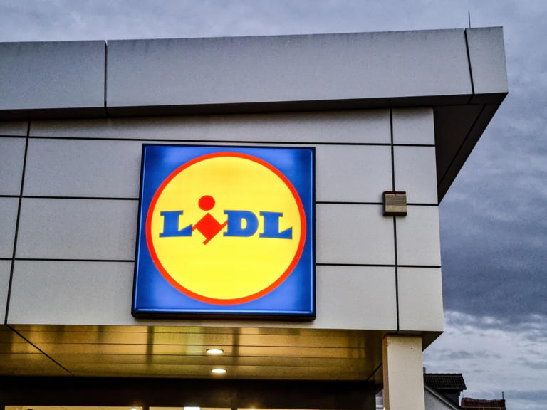 Lidl deler gratis overskudsmad ud til Blå Kors den 23. december