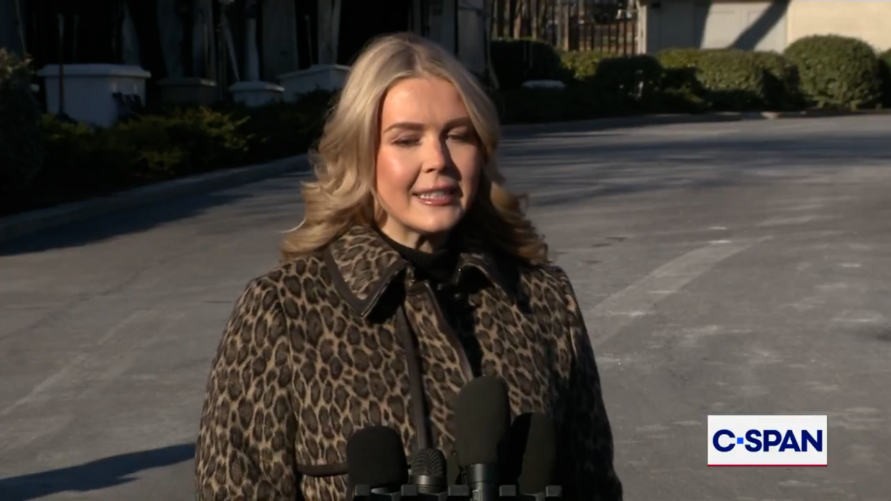 Leavitt defends Wiles and blasts Vanity Fair 'disingenuous reporting'