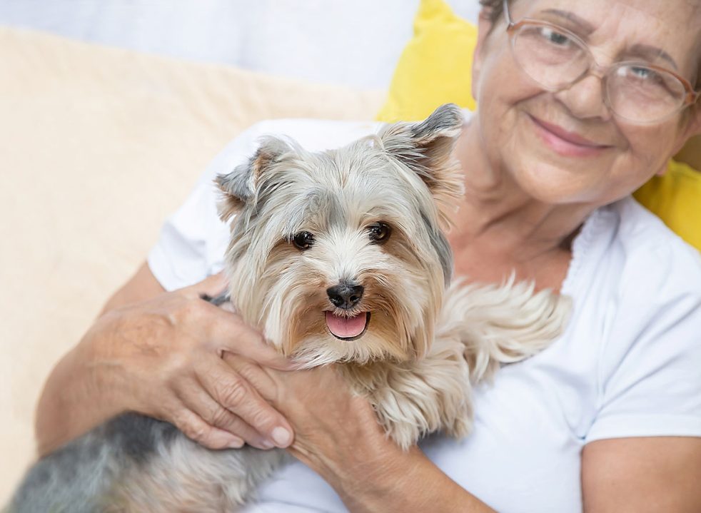 10 best dog breeds for seniors who live alone, according to veterinarians