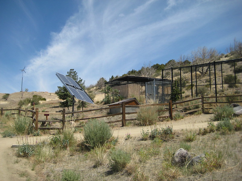 17 fun things to do in Reno with kids