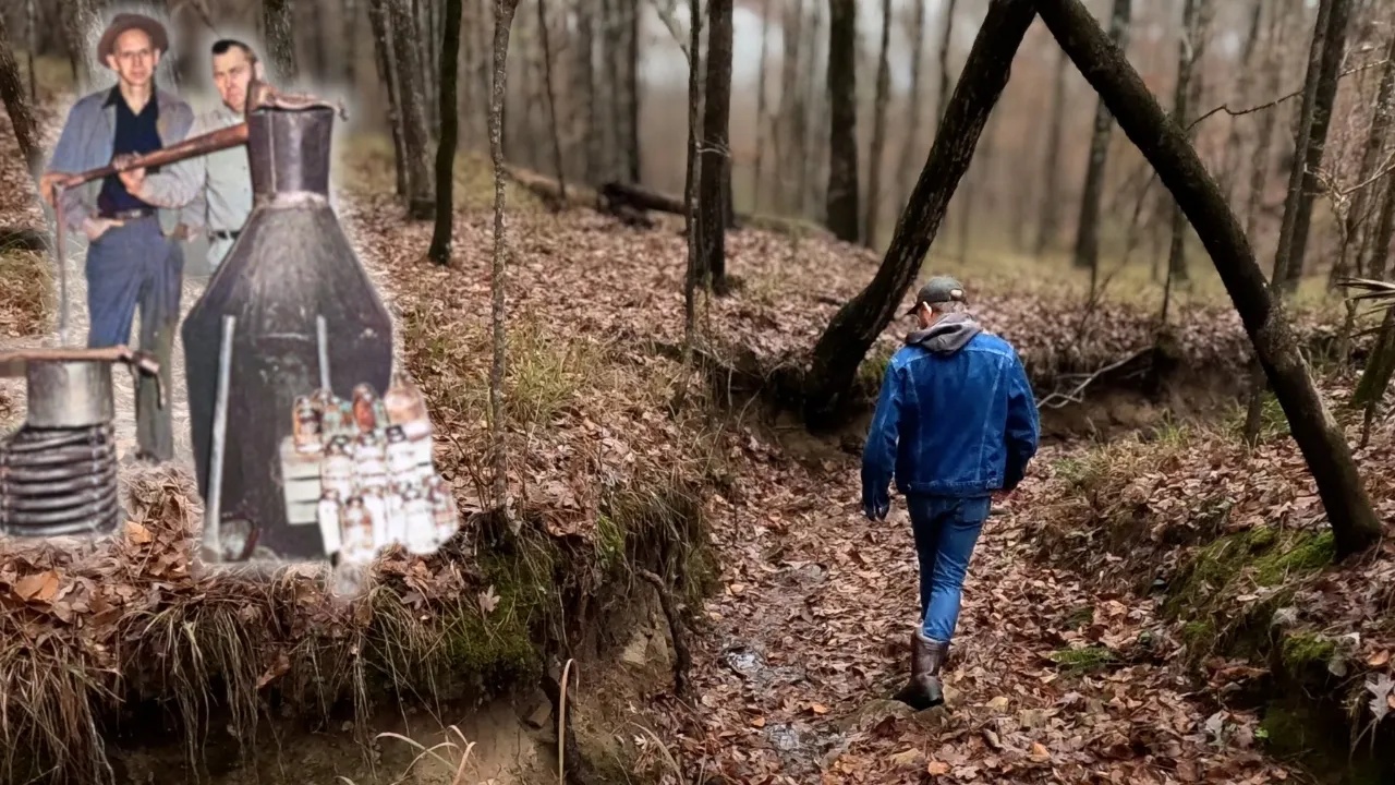 What was really happening deep in these woods