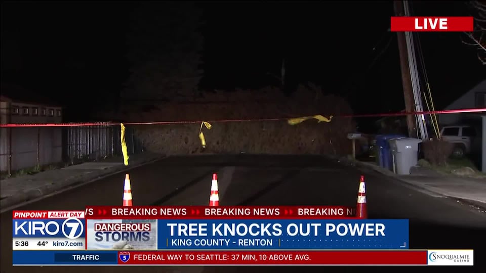 Video: Tree knocks out power, blocks road in Renton