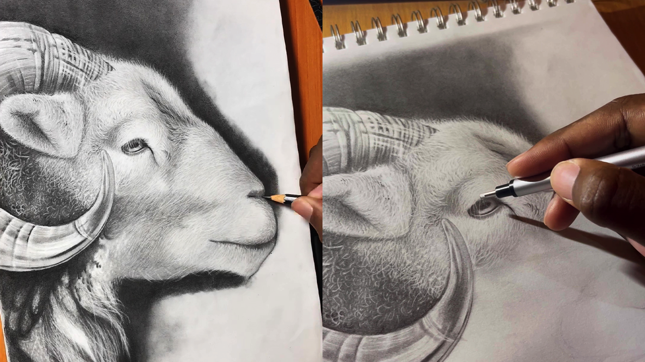 'GOAT draws goat' - Hyper-realistic, photo-like goat portrait by a ...