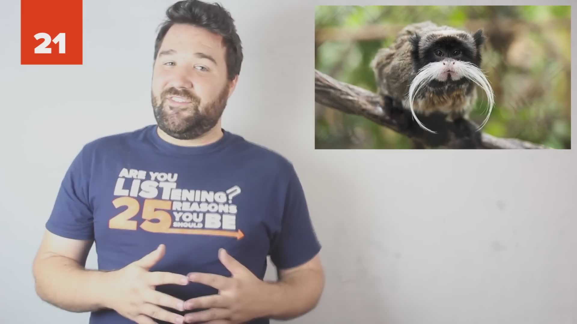 Animal beards that outshine the biggest hipster