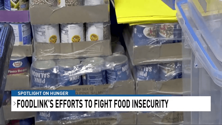 Spotlight on hunger: Foodlink and food insecurity
