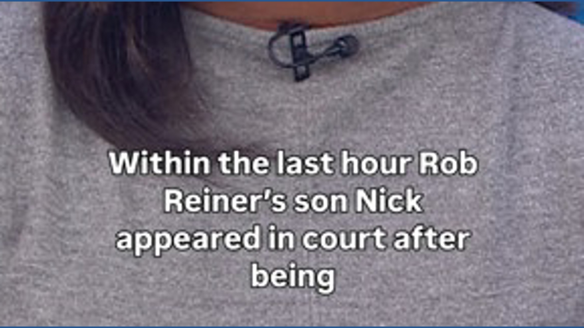 Nick Reiner makes brief court appearance