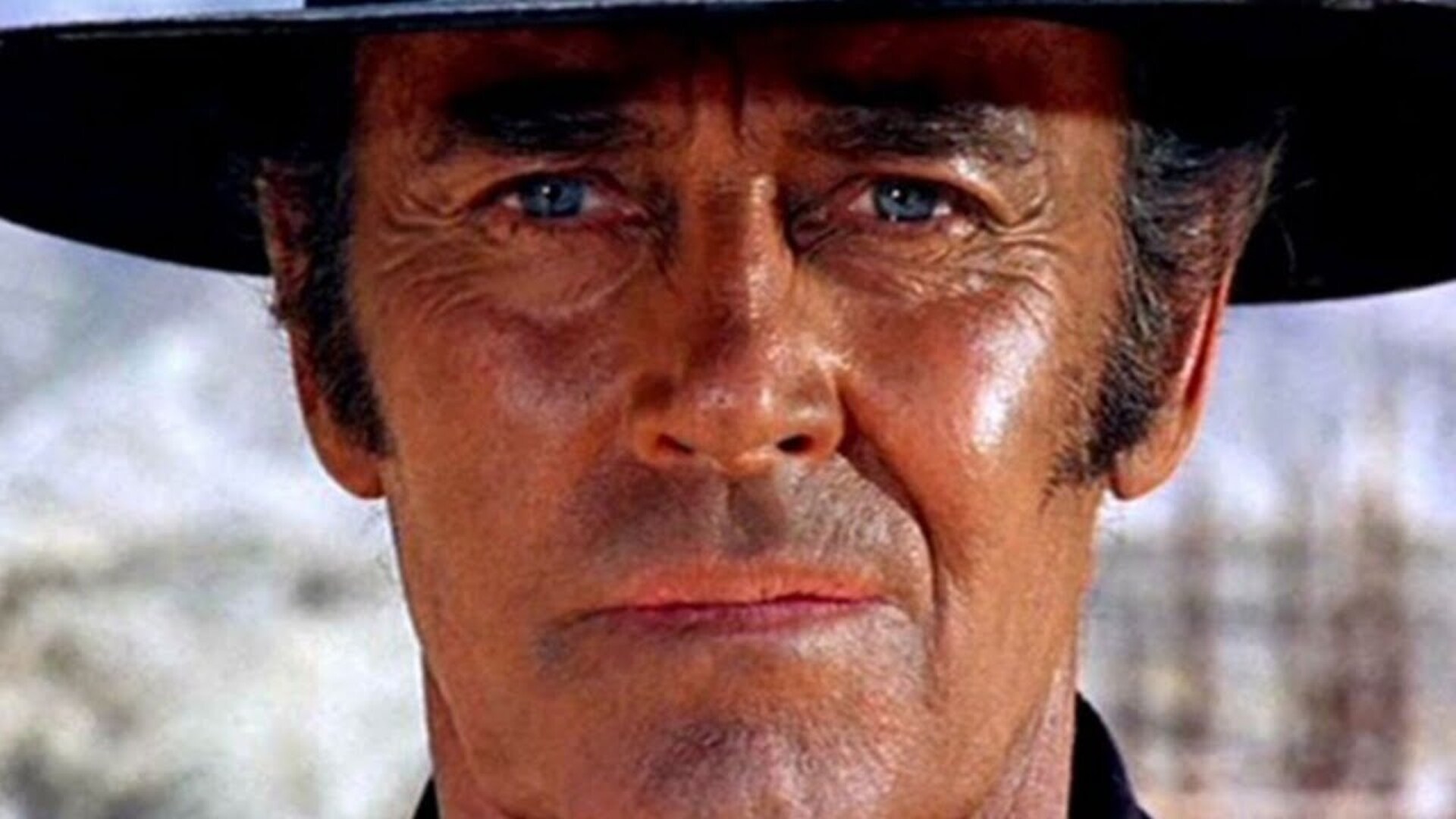 Actors with the most movies with 100% Rotten Tomatoes scores
