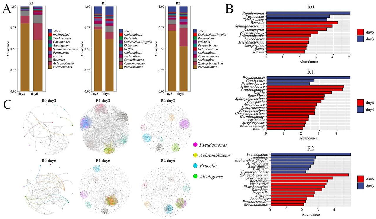 Scientists uncover how microbial consortia break down lignin