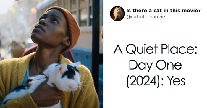 28 times cats were spotted in a movie, uncovered by this account