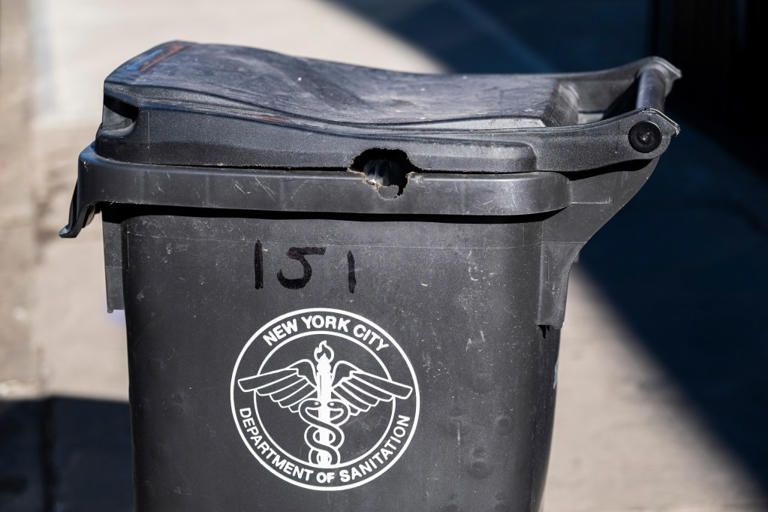 Rat-obsessed Eric Adams creates NYC 'Office of Rodent Mitigation' in ...