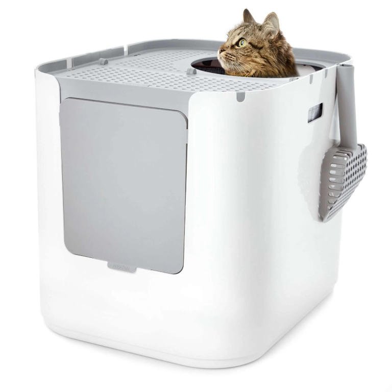 This extra-large litter box finally makes sense for big cats