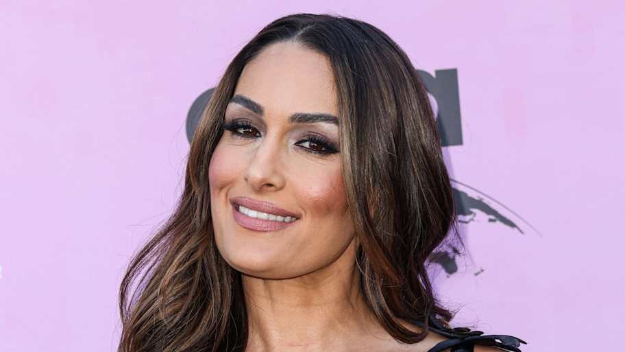 Cooper DeJean, WWE star Nikki Bella cause dating rumors stir hanging in ...