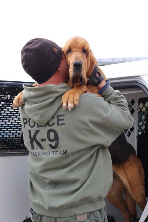 Louisa County Sheriff’s Office honors special K-9 who dies following ...