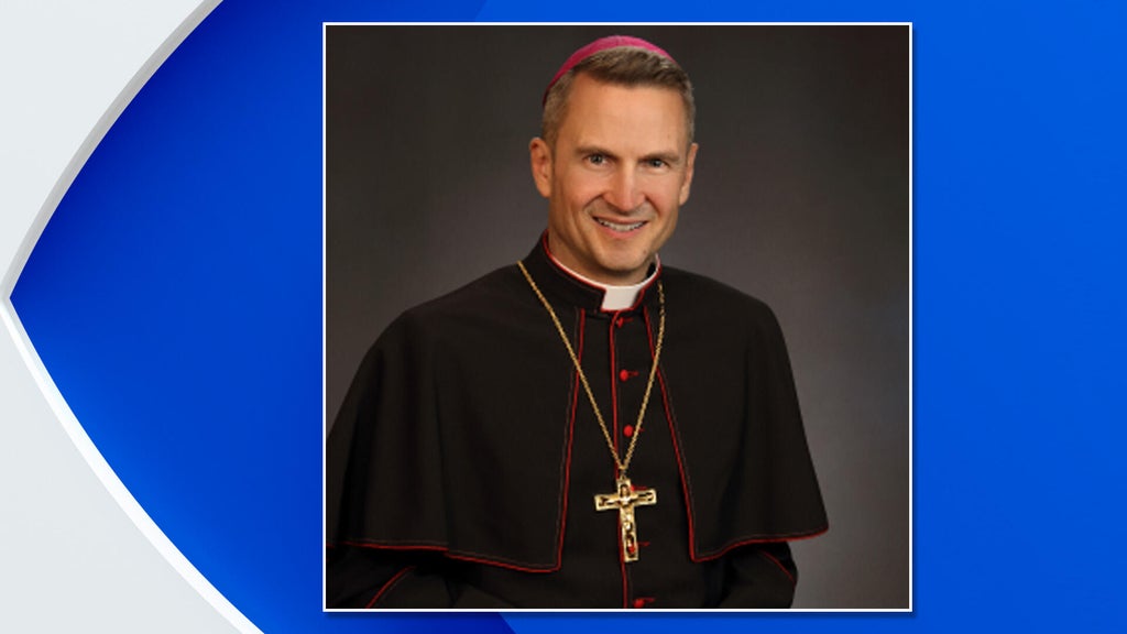 Pope Leo taps Bishop Ronald Hicks of Joliet, Illinois to succeed ...